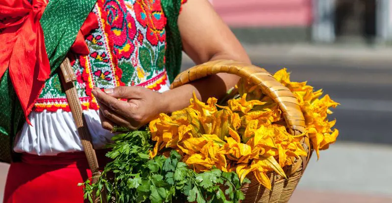 Fly & Drive Parques Nacionales de Costa Rica con Manuel Antonio - TUI Spain