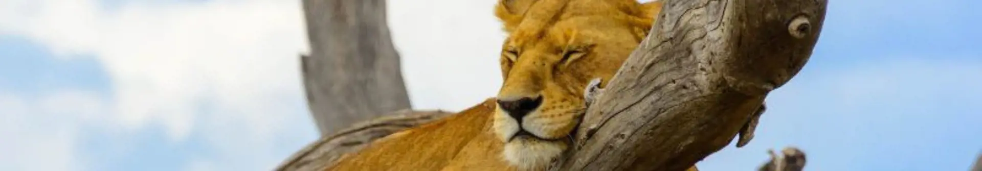 Tanzania Esencial - TUI Spain