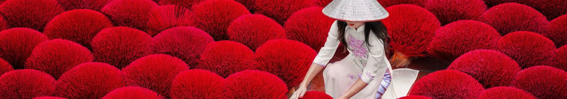 Descubre Vietnam - TUI Spain