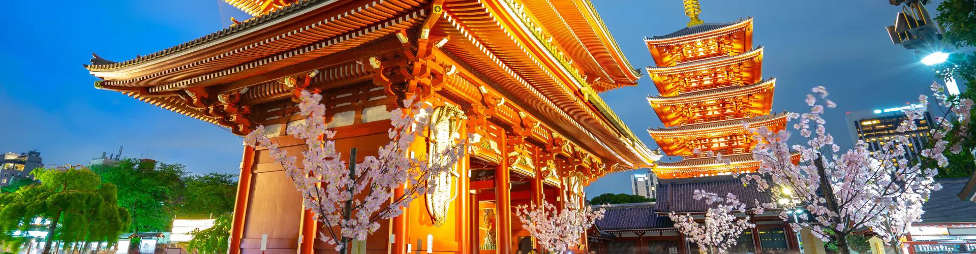 Súper Japón - TUI Spain