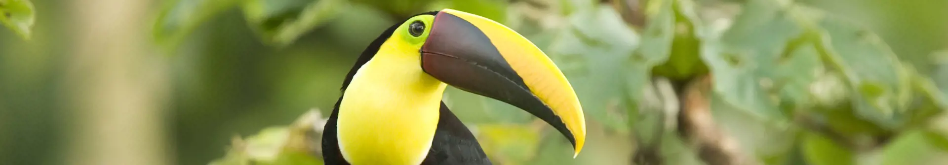 Naturaleza y Playa - TUI Spain