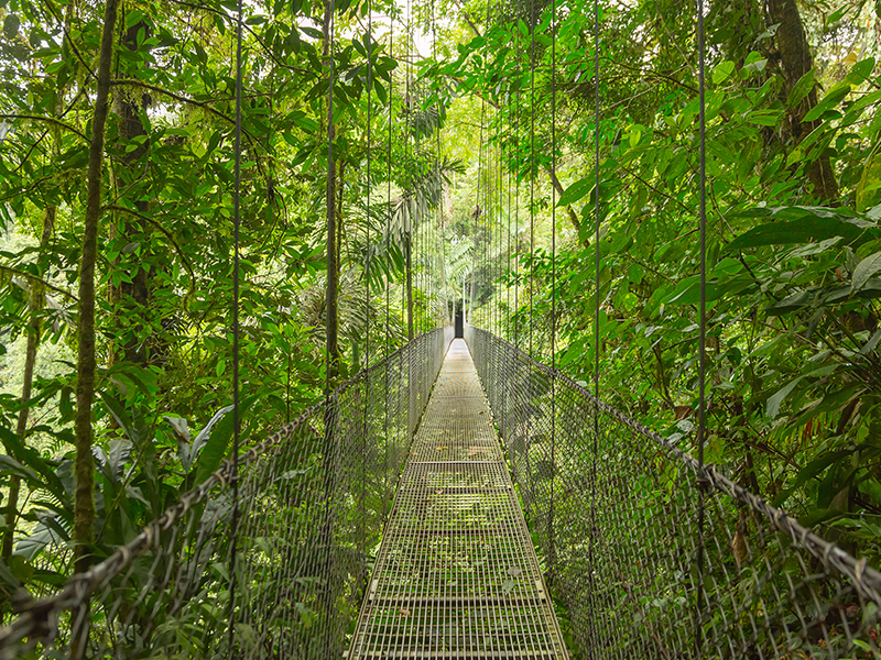 Latinoamérica-Costa Rica - TUI Spain