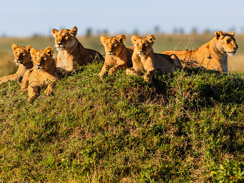 TUI - Las mejores opciones al mejor precio - TUI Spain